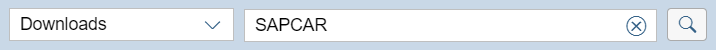 SAP Help Portal